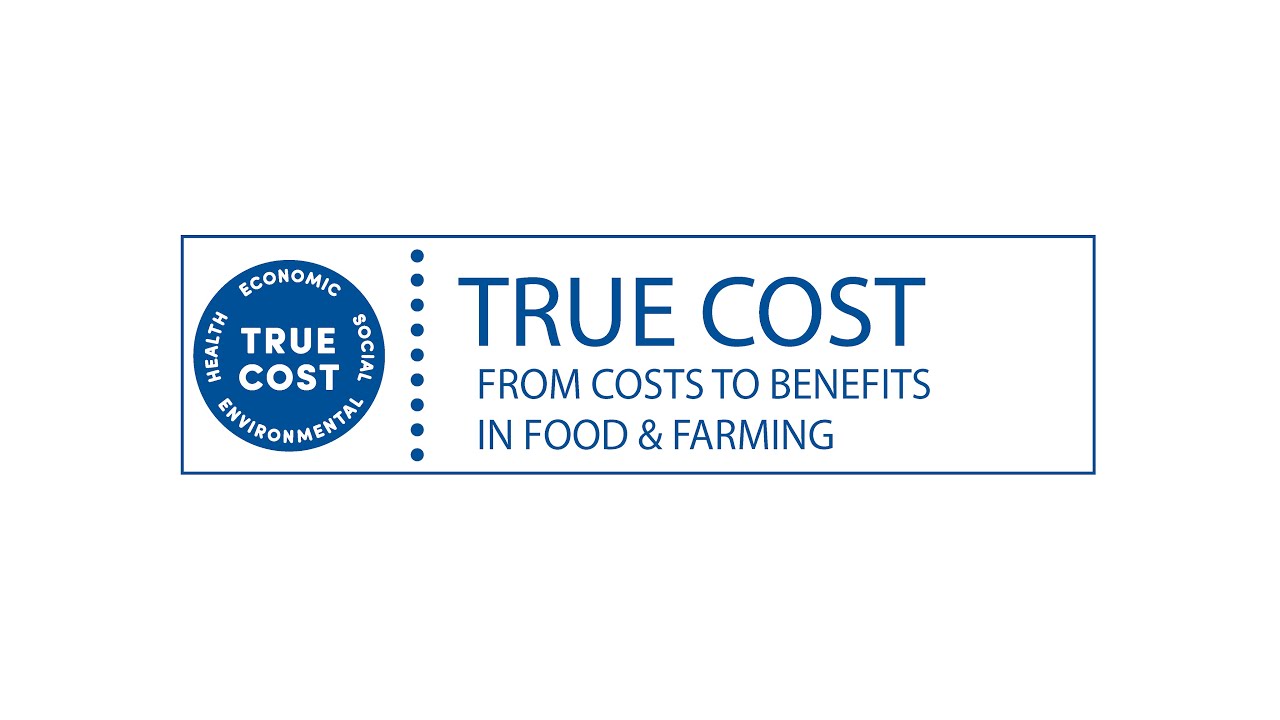 What Is Real Cost How To Calculate Cost Basis For Real Estate 2022 what-is-real-cost-how-to-calculate-cost-basis-for-real-estate-2022