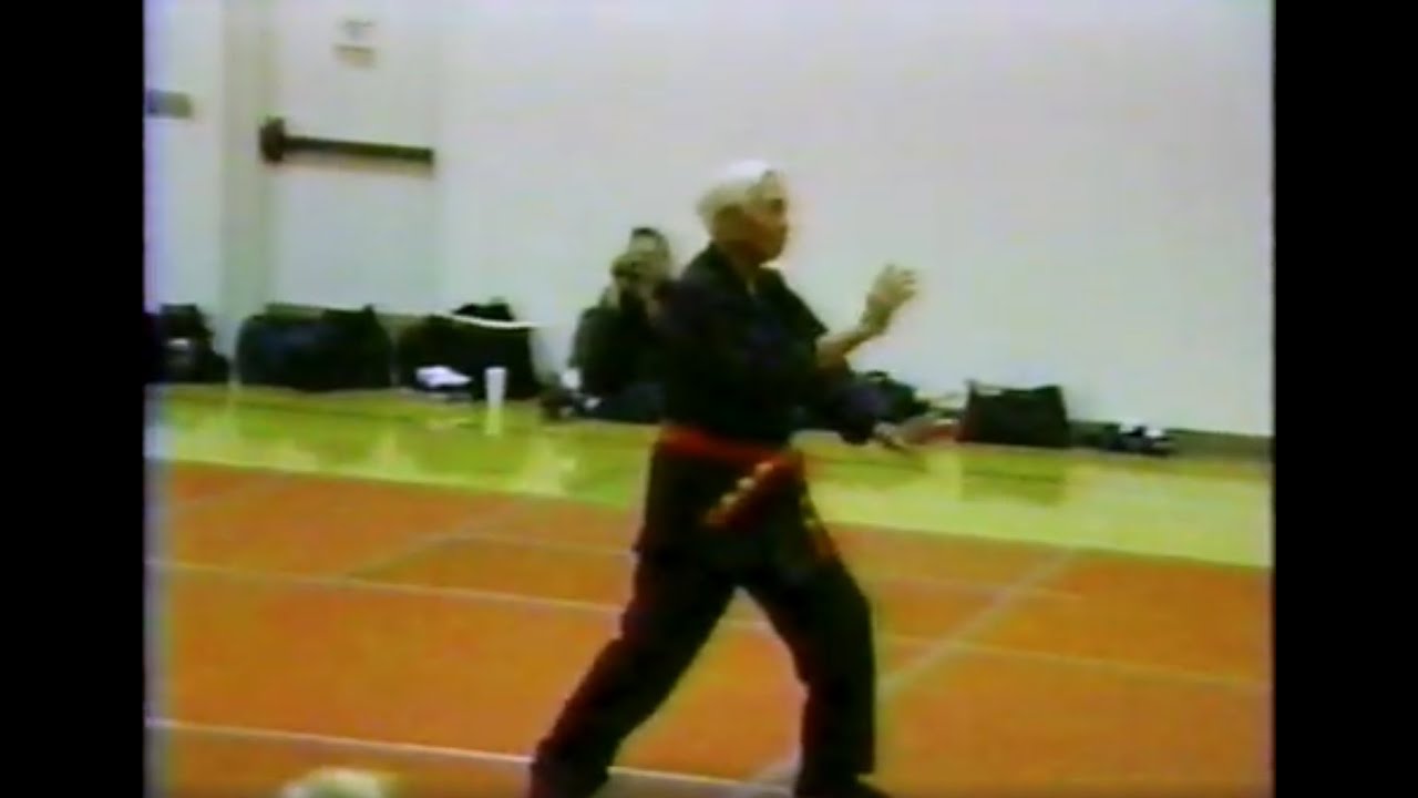1998 San Jose Gasshuku - Prof James Muro and Prof Bing Fai Lau - YouTube