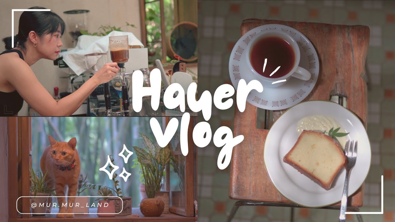 【VLOG】隱藏在靜謐山林的寶藏咖啡廳Murmur Land｜豪爾 - YouTube