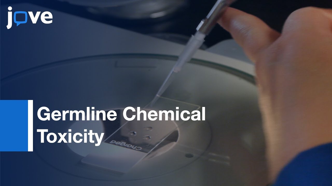 Chemical Toxicity