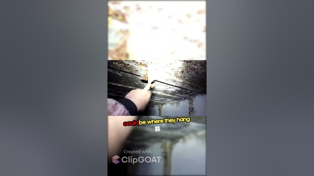 Exploring the WWII Bunker's Interior Bunk Beds, Cables, and More!#wwiibunker #bunkerinterior ...