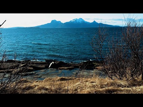 Windy spring day by the shore with wind and waves sounds