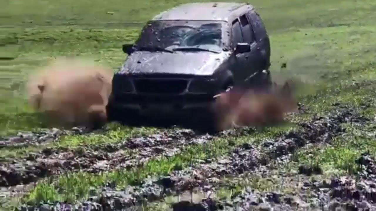 Ford Explorer 4x4 v6 4.0 na trilha,barro,lama e mud - YouTube