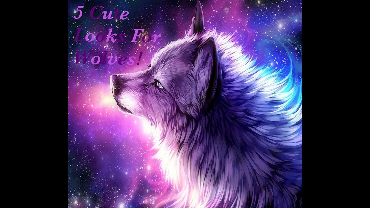 5 Cute Looks For Wolves! Ajpw - YouTube