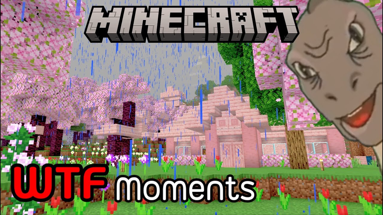 Minecraft WTF moments Minecraft pe - YouTube