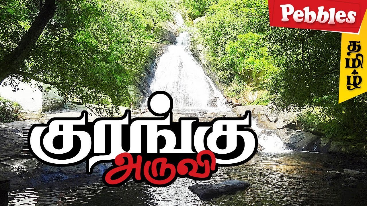 Monkey Falls | Tamil Travel Vlog | Waterfall | Tourist places in ...