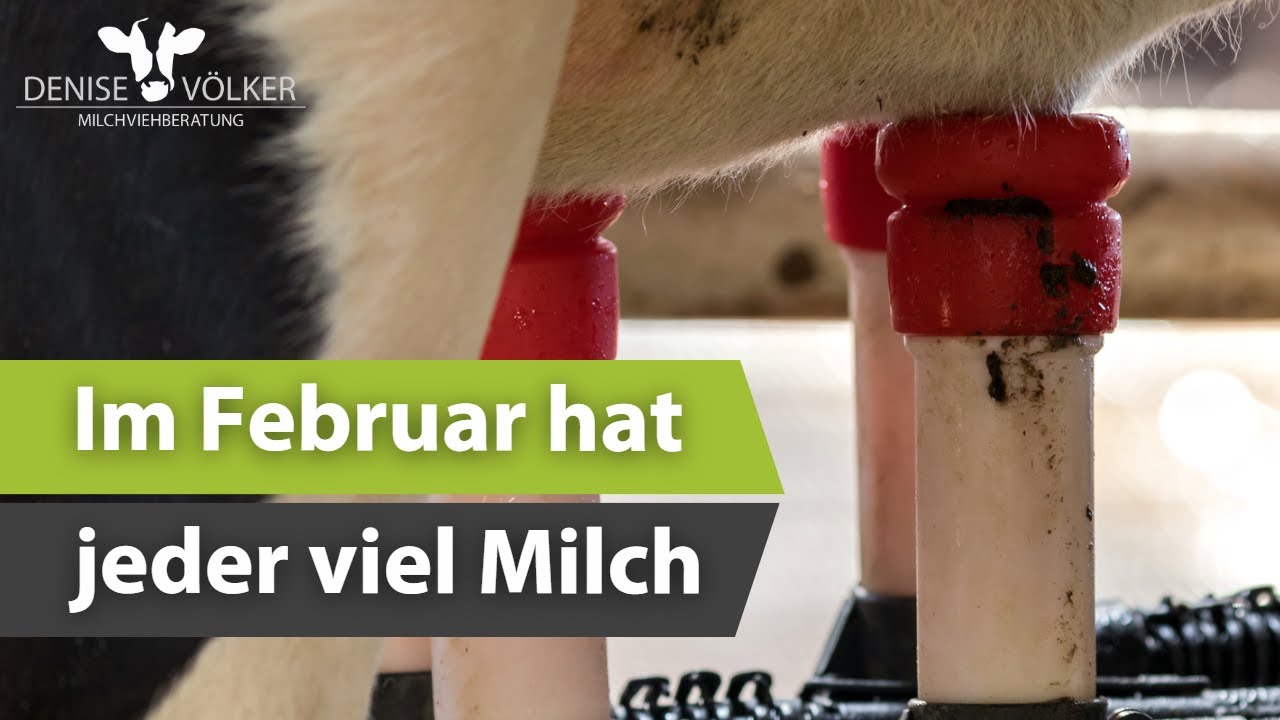 Im Februar hat jeder viel Milch 🐮🥛 - YouTube
