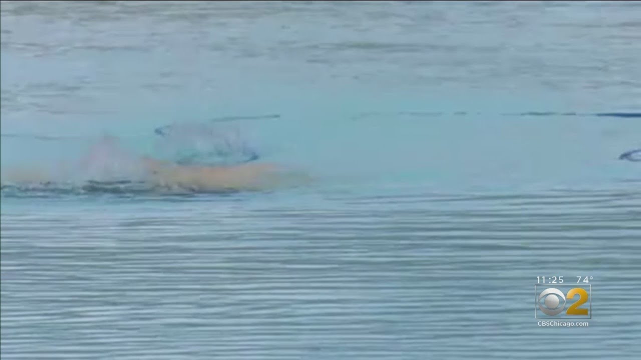 Orland Park Pool Reopens With COVID-19 Restrictions - YouTube