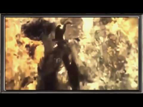 Kartal'ın Dağ Keçisi Avı Kayalıklardan Aşağıya Atıyor!.(Eagle Attack Mountain Goat)