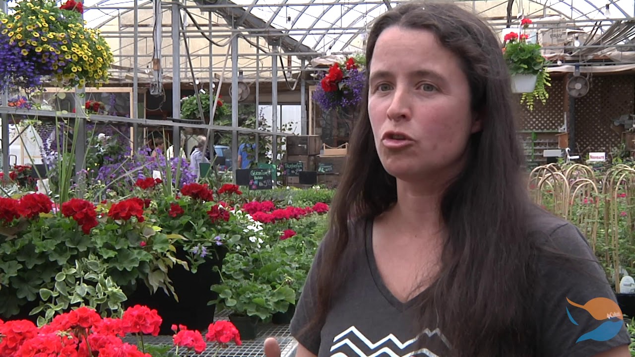Entrevue avec Nancy Ouellet - Les Serres du Canton - YouTube