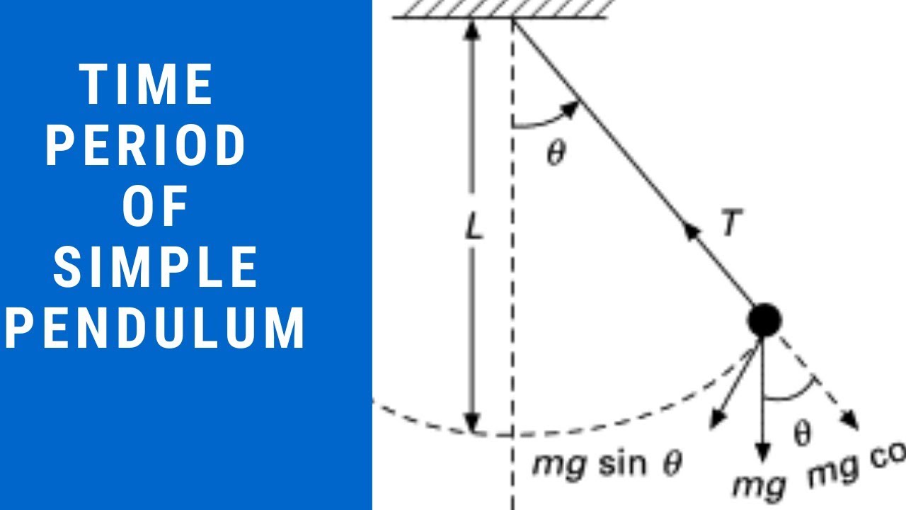 How To Calculate Time Period In SHM Time Period Of Simple Pendulum How To Calculate Time Period In SHM Time Period Of Simple Pendulum