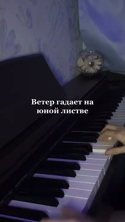 Виктор Салтыков - Белая ночь #фортепиано #пианино #белаяночь - YouTube ...