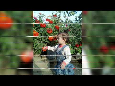 Zeynəb Ad günün mübarək olsun