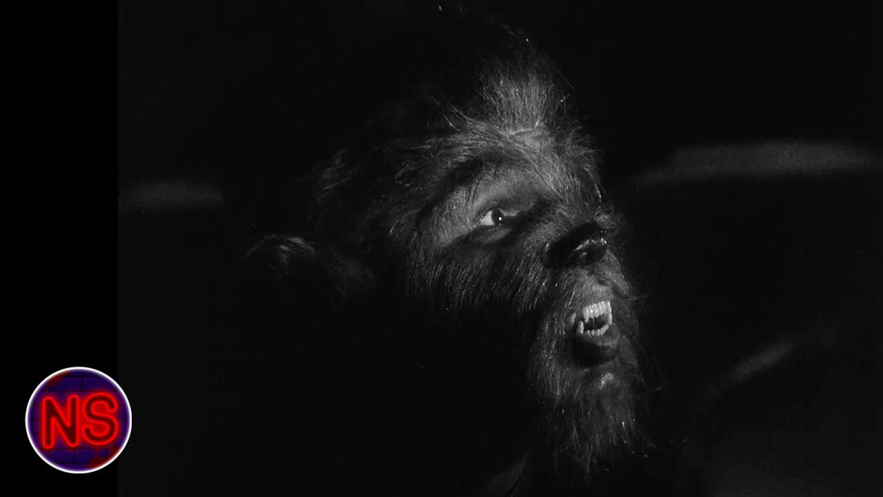 The Werewolf Awakens His Vampire Master | The Return of The Vampire ...