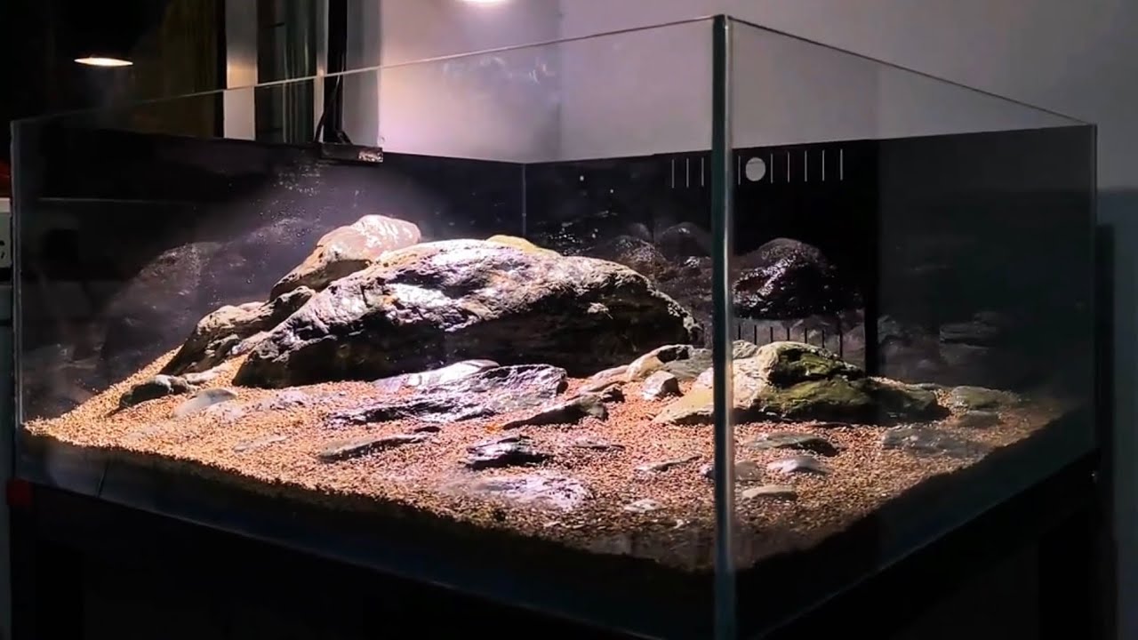 DIY Natural Stream Biome Step-by-Step, Stream Biotope Masterclass: From ...