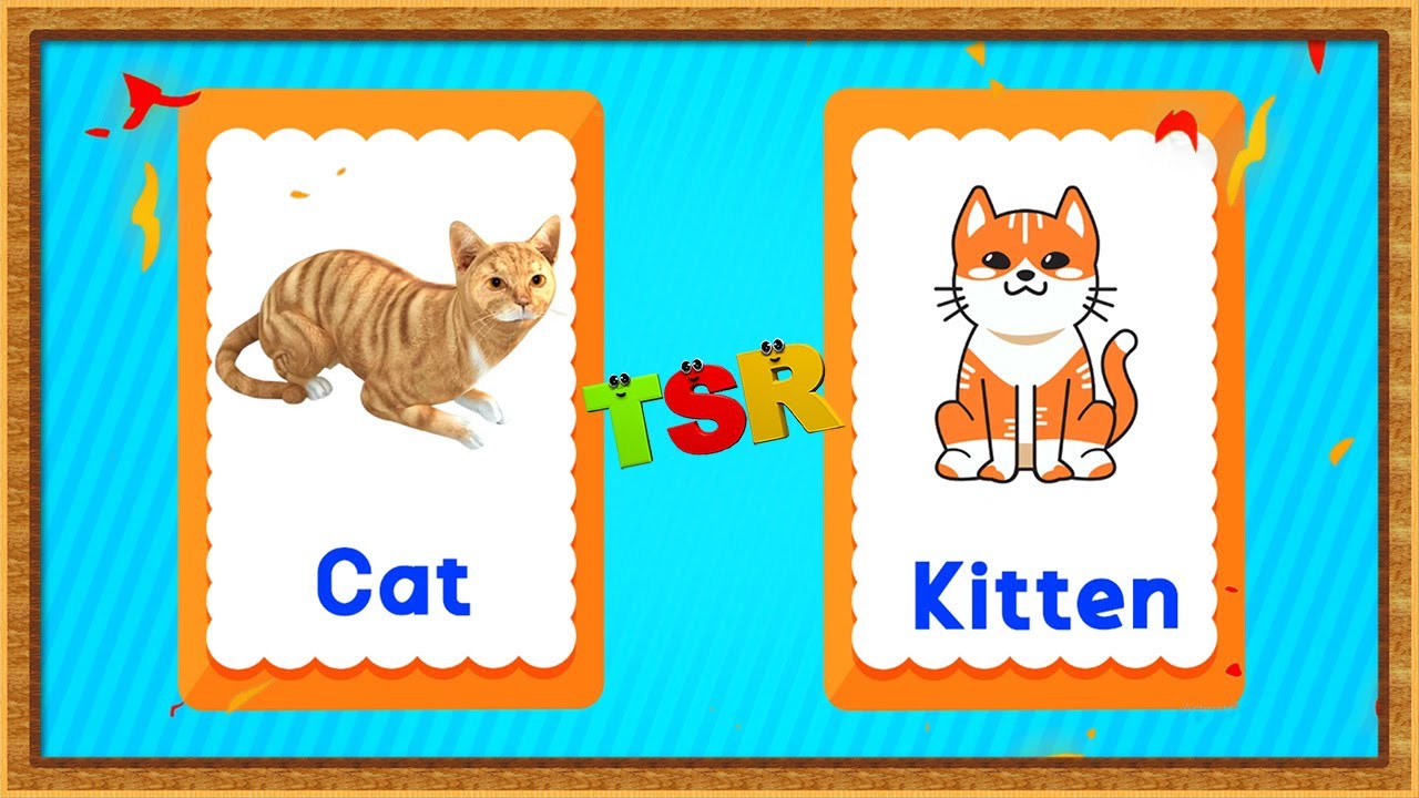 Animals And Their Babies Name | Animals And Their Babies For Kids ...