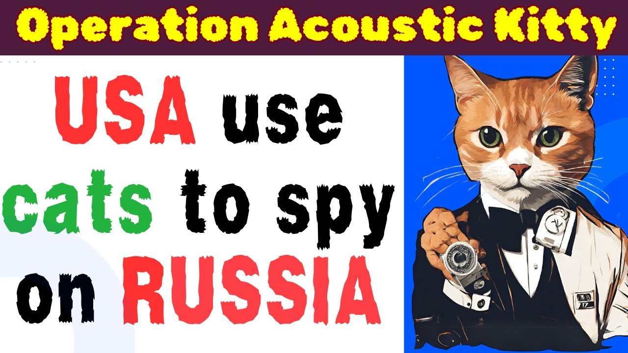 USA use Cats to Spy on RUSSIA | Operation Acoustic Kitty | CIA made a ...