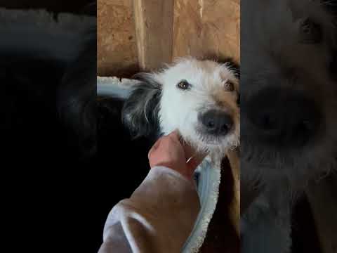 Solena 3 11/2025 - Hope for Future e.V.