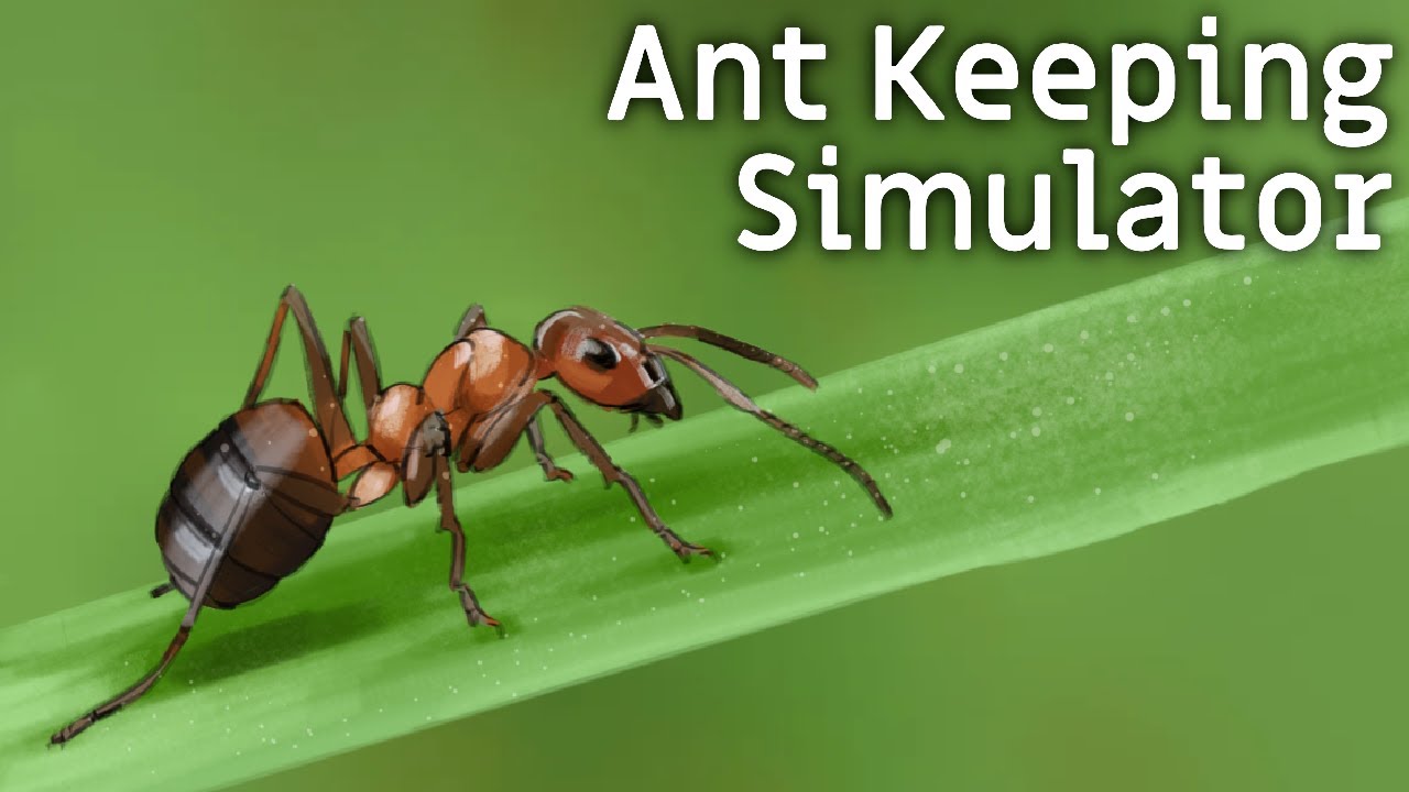 Ant Keeping Simulator | Trailer (Old Trailer) - YouTube