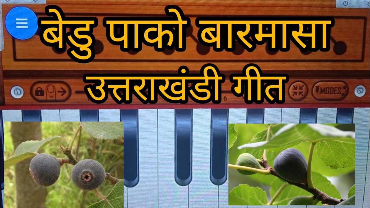 बेडु पाको बारमासा Bedu Pako Baramasa Garhwali Song On Harmonium # ...