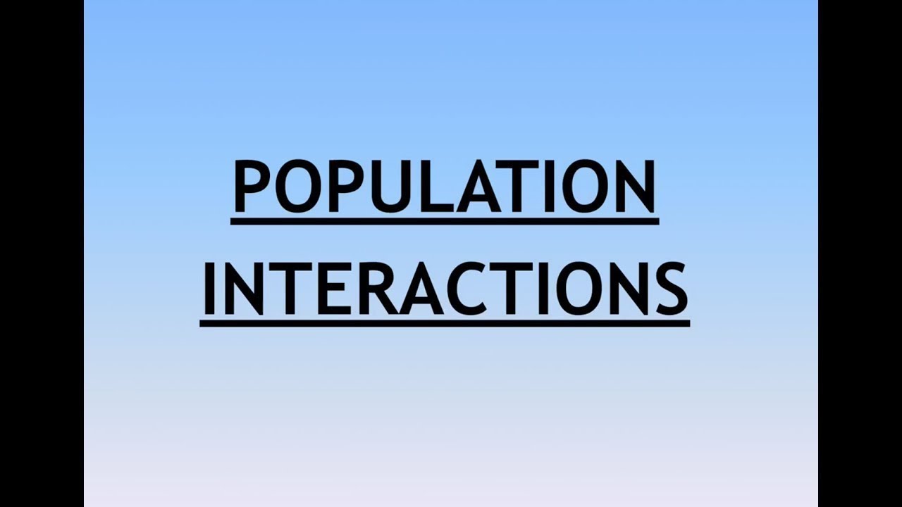 Class 12 Bio Population Interaction Competition - YouTube