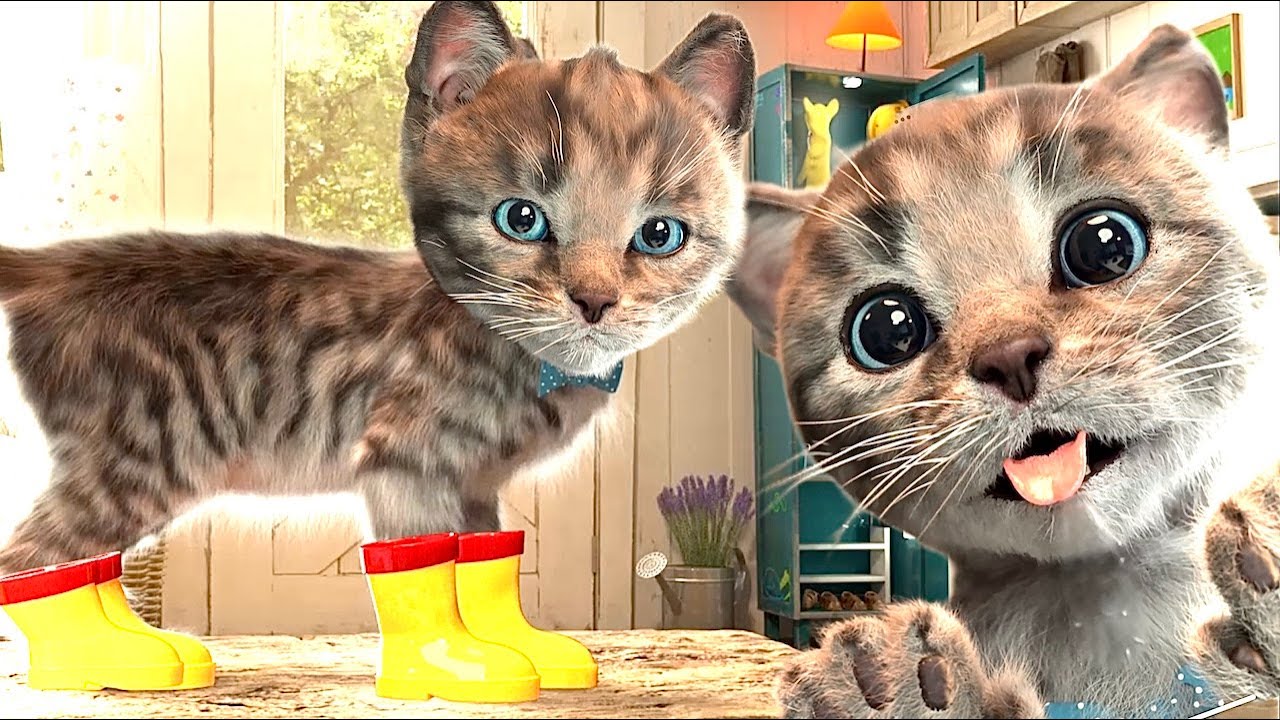 LITTLE KITTEN PRESCHOOL ADVENTURE EDUCATIONAL GAMES | LEARN & PLAY PET ...