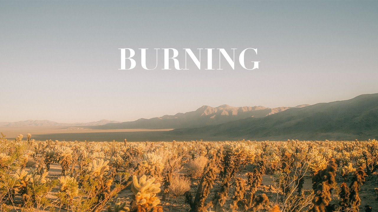 BURNING | JOSHUA TREE FUJIFILM X100V PHOTOGRAPHY - YouTube