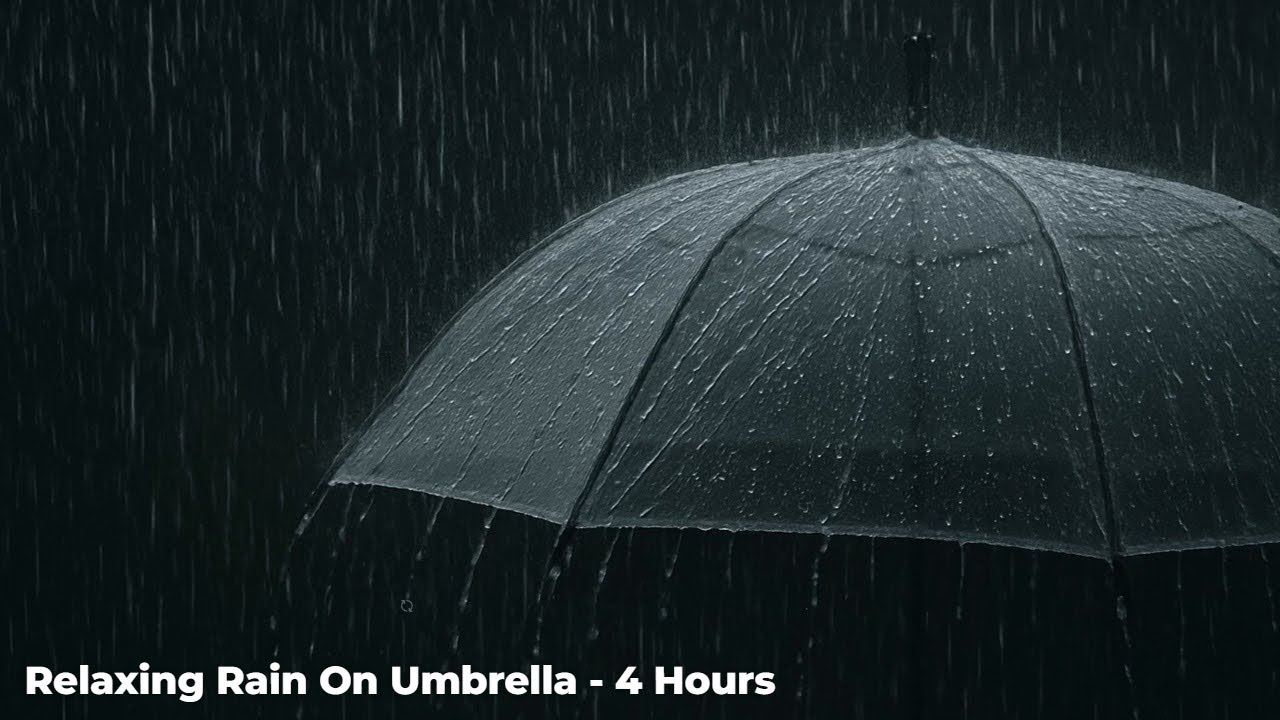 Rain Sounds on Umbrella - 4 Hours of Relaxing Ambience for Sleep, Study ...