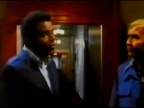 Twin Detectives (1976) Jim Hager, Jon Hager, Lillian Gish, Otis Young ...