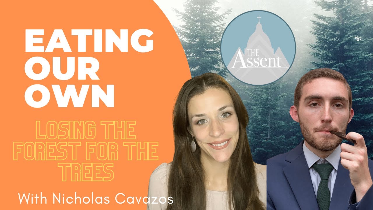 The Assent: Eating our Own and Losing the Forest for the Trees - YouTube