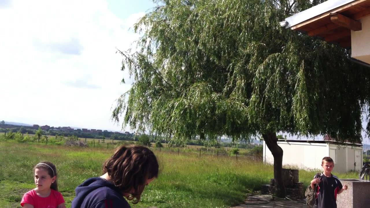 SHKOLLA FILLORE "ARIF SHALA" KORROTICË E POSHTME- DRENAS - YouTube