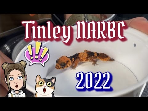 Tinley NARBC 2022 - YouTube