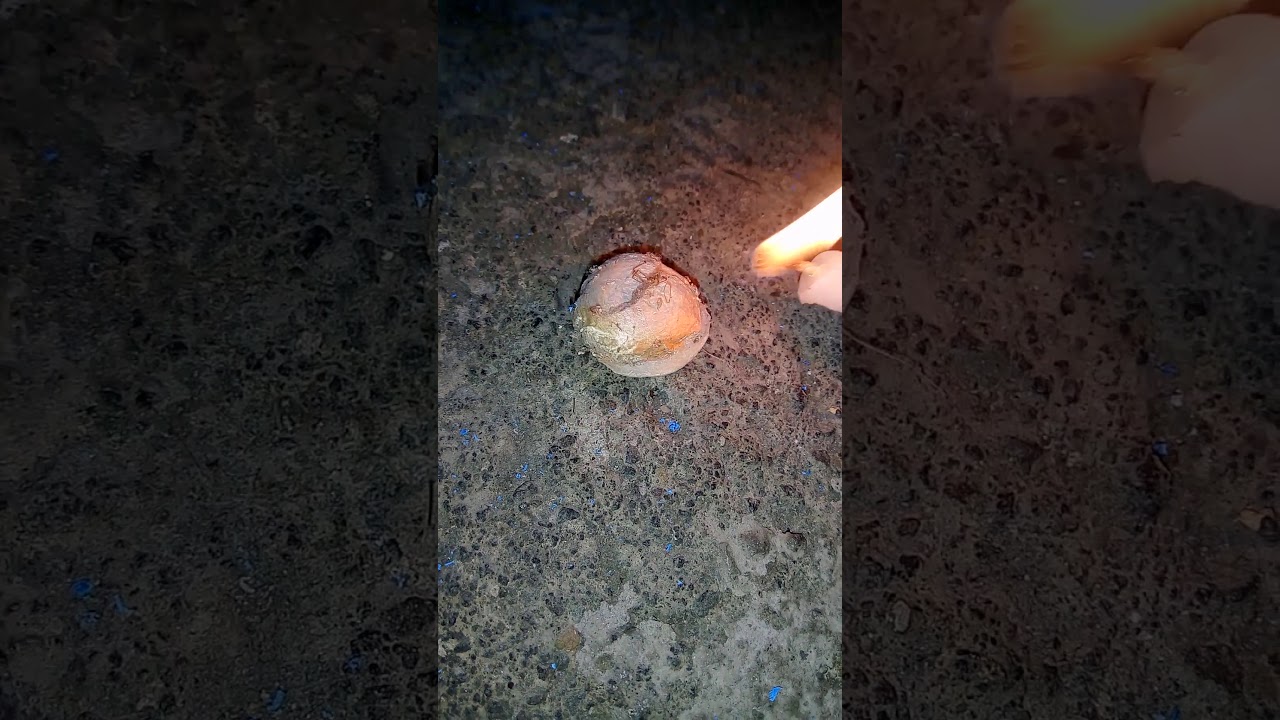 Burning Spider eggs. - YouTube