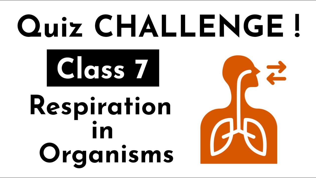 Class 7 QUIZ CHALLENGE Respiration in Organisms - YouTube