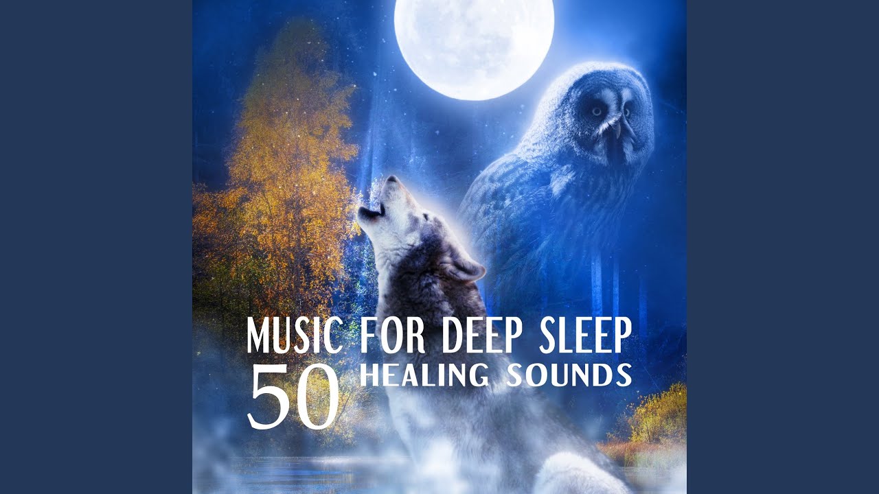 Meditation: Harp, Owls & Crickets Sounds - YouTube