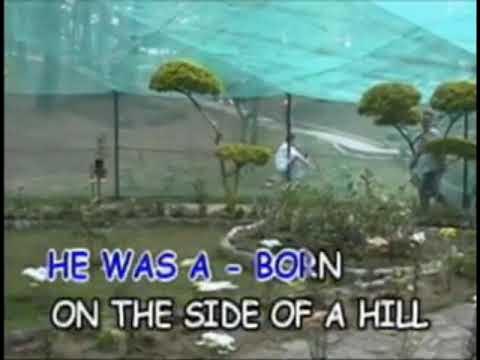 Skip To My Loo - Classic Nursery Rhymes (Vivaoke) - YouTube