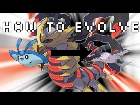 How To Evolve Mantyke Into Mantine - YouTube