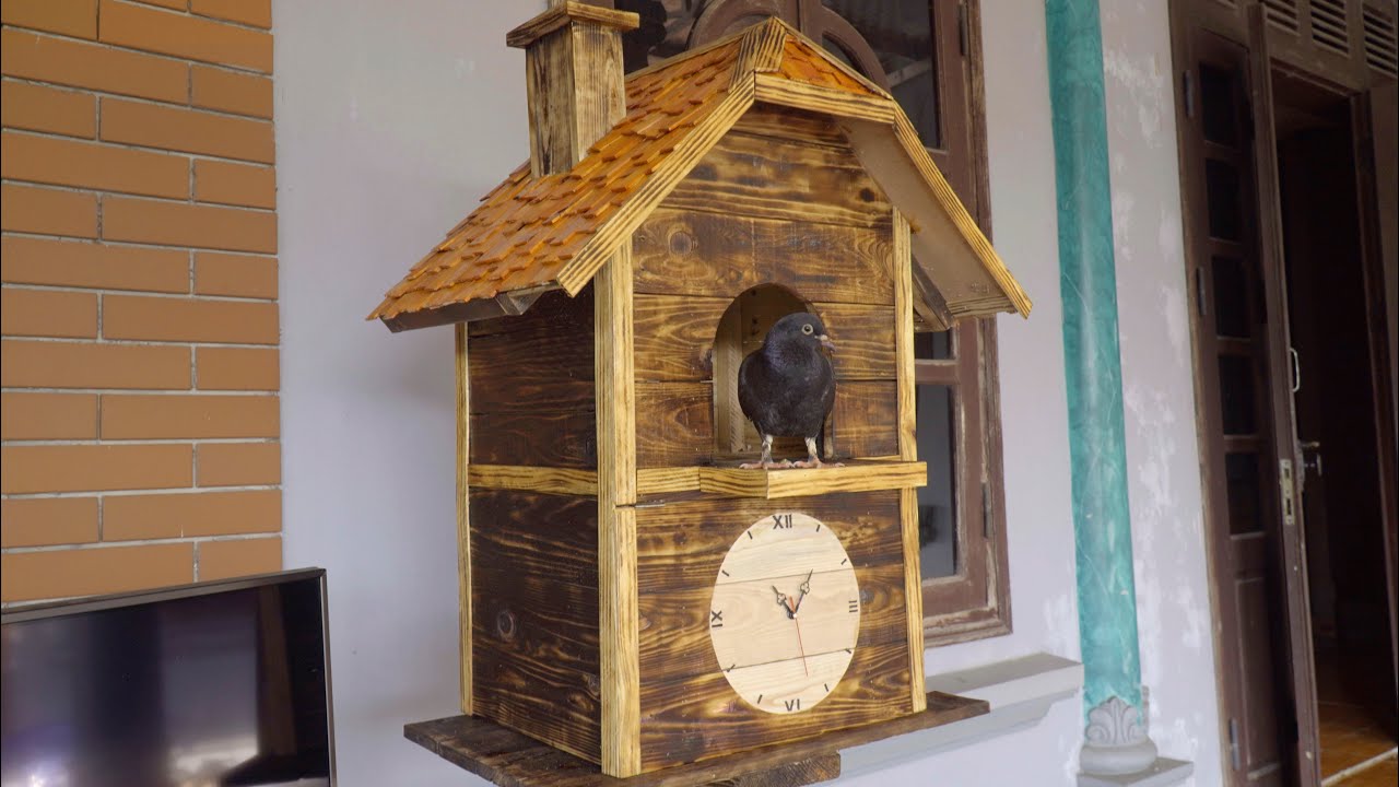 How To Make A Cuckoo Clock For Your Pigeons - YouTube