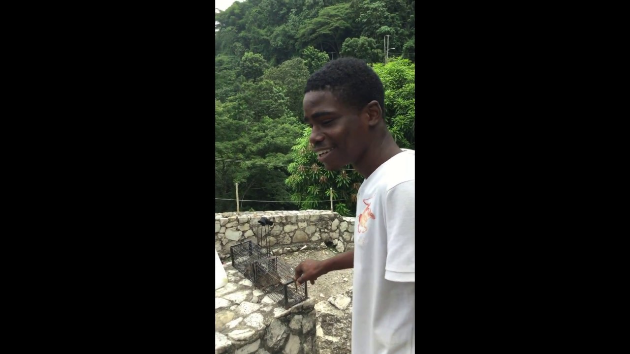 Jamaican youngster sell rats in St Mary - YouTube