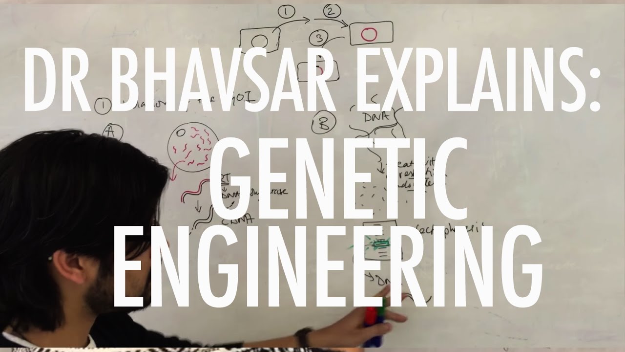 Genetic engineering explained - YouTube