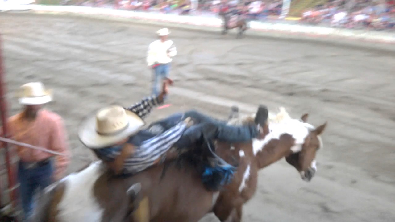 painted pony rodeo bronk riding - YouTube