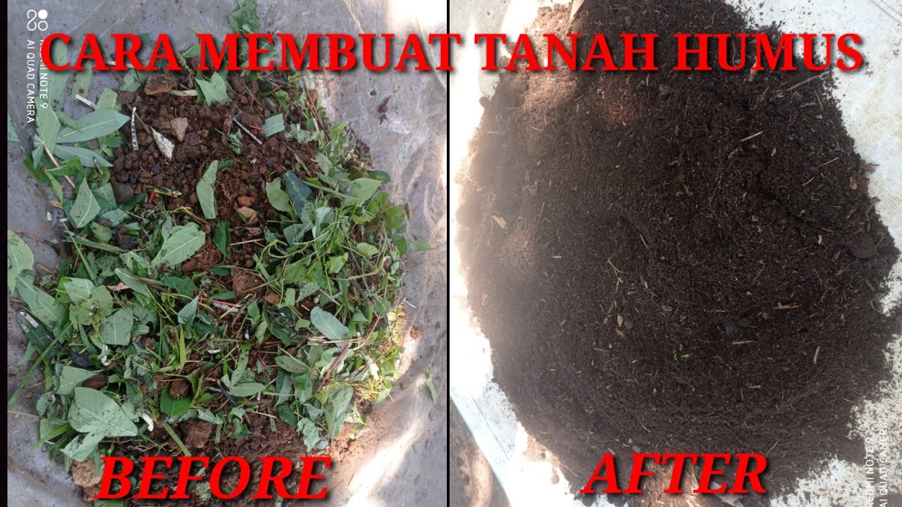 CARA MEMBUAT TANAH HUMUS - YouTube