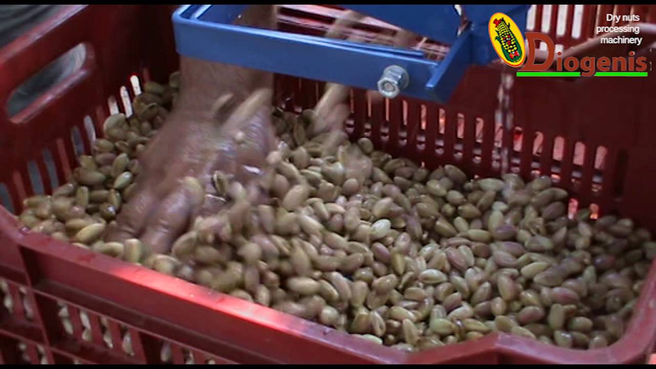Pistachio Peeling Machine (Αποφλοιωτής κελυφωτού φιστικιού) - YouTube