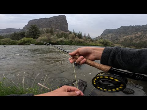 Fly Fishing Trout Road Trip Part 4 | Fly Fishing the Crooked River ...
