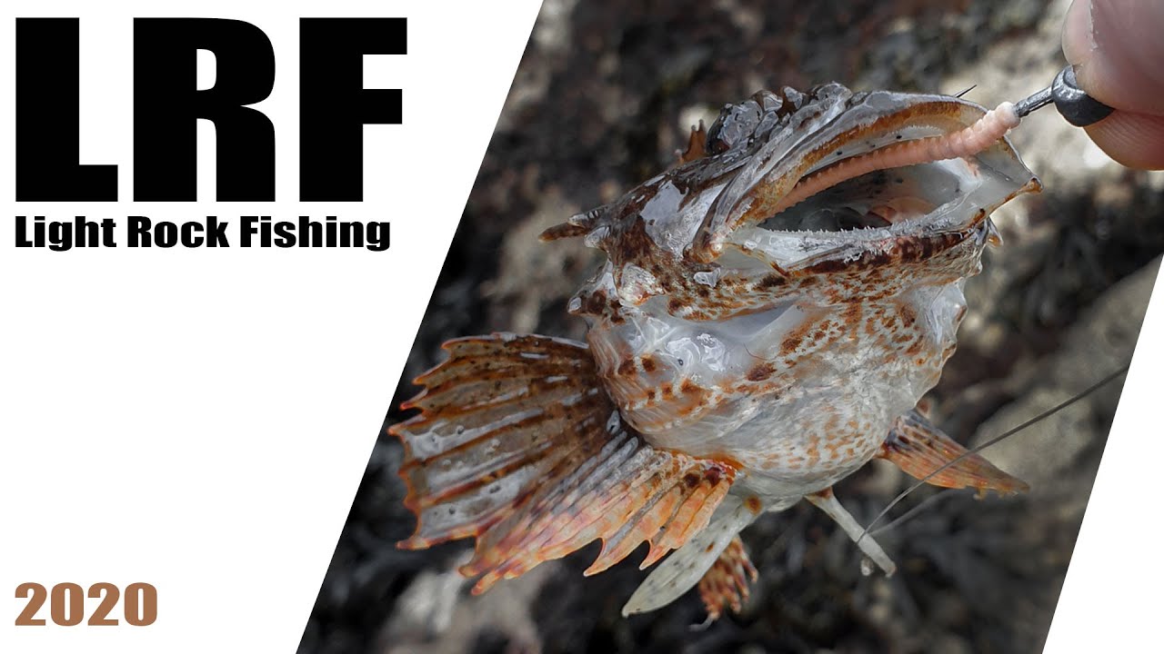 Light Rock Fishing - (LRF) - YouTube