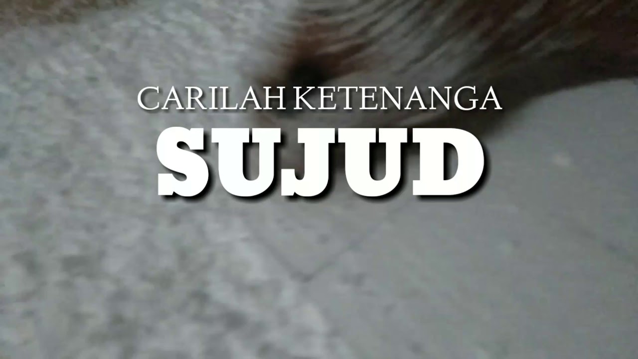 Copler community - YouTube