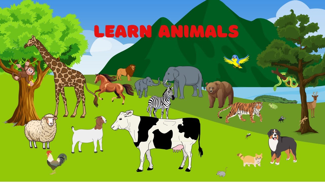 Learn Animals for Toddlers - Animal Sounds, Pets, Farm Animals, and ...