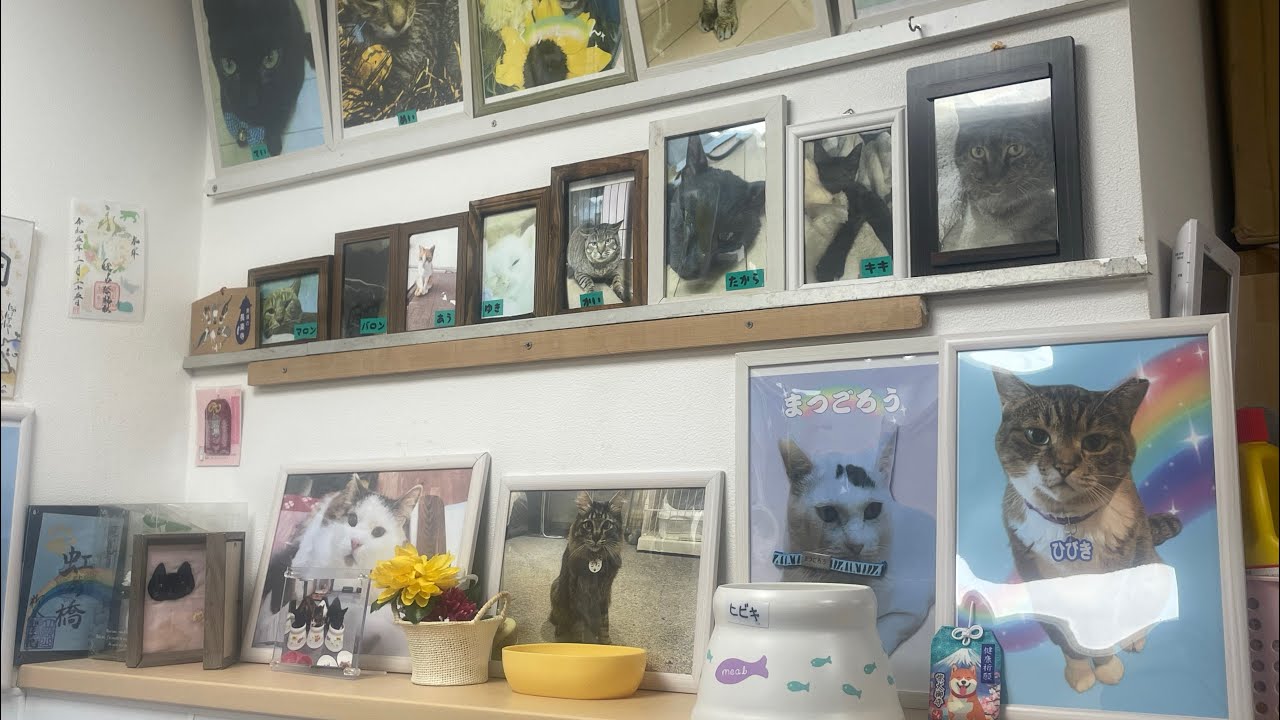 Hibiki, 15 years old, will leave us on January 18, at 10:00 a.m. We bid ...