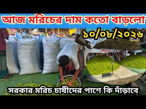 ১০/০৮/২০২৬ আজকে মরিচের বাজার মূল্য | Today's chili market price in Bangladesh | তিলকপুর হাট বাজার 