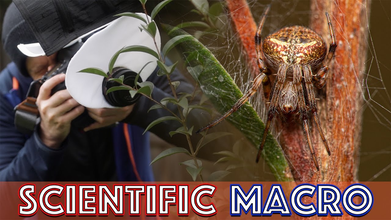 Combine Macro Photography with Science - Canon 100mm & Raynox DCR 250 ...